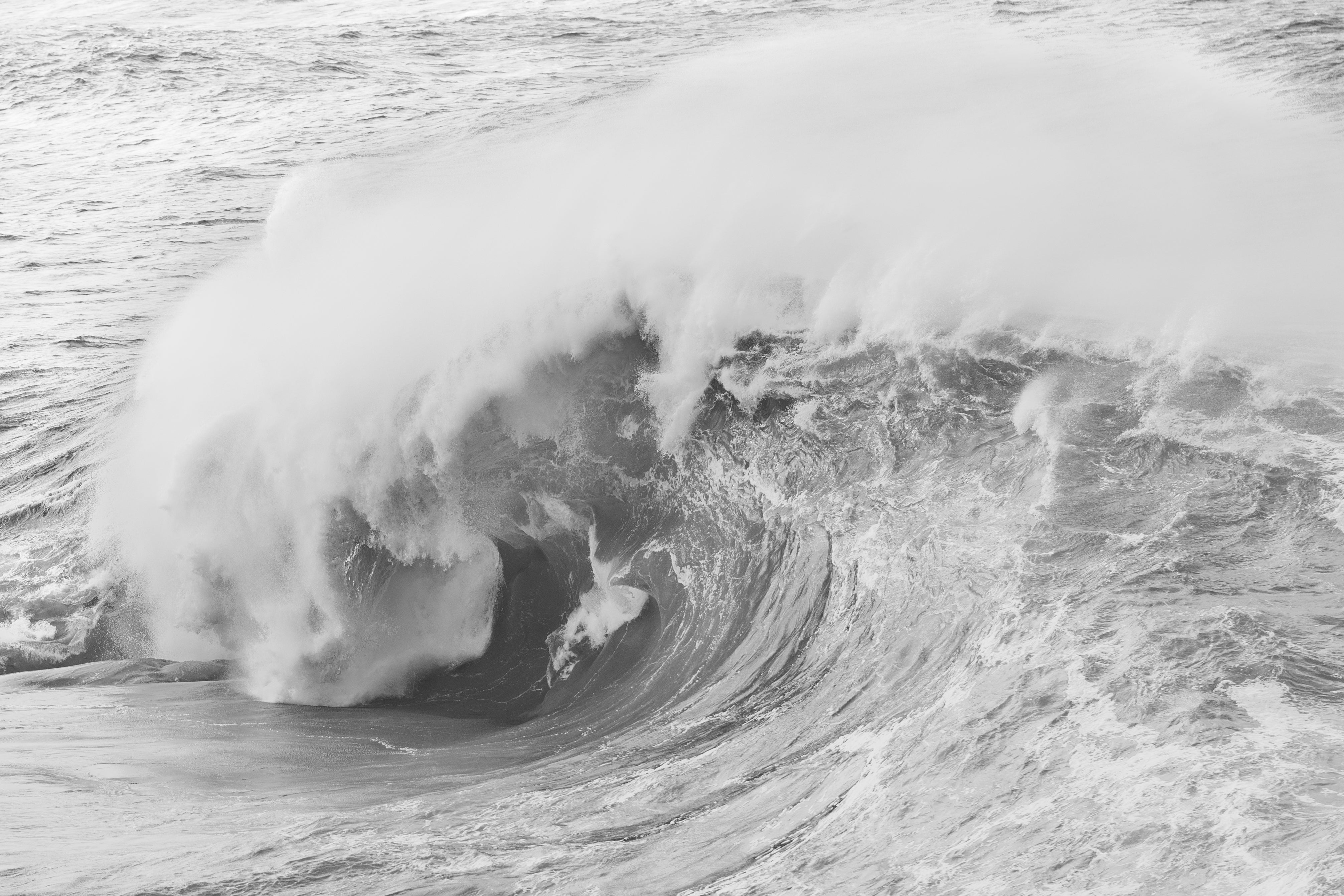 Ocean Wild – Ocean Feels By Ben Mack